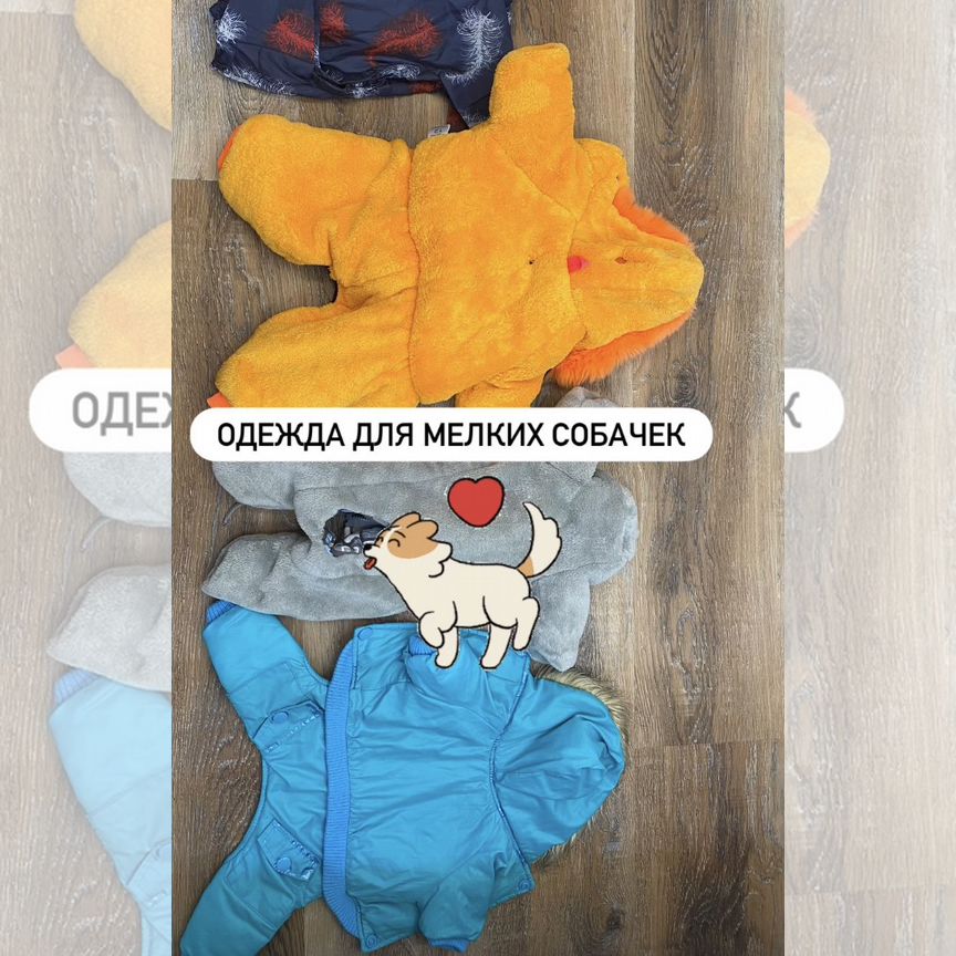 Одежда для маленьких собак пакетом