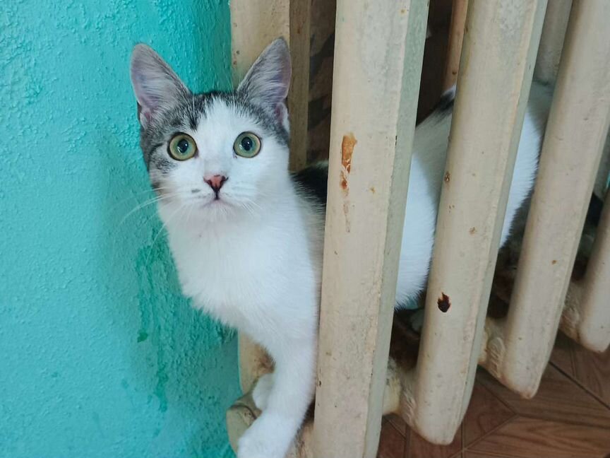 Маша ищет семью