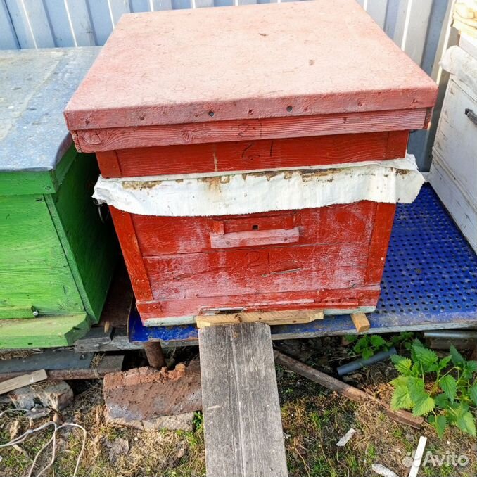 Продам пчелосемьи