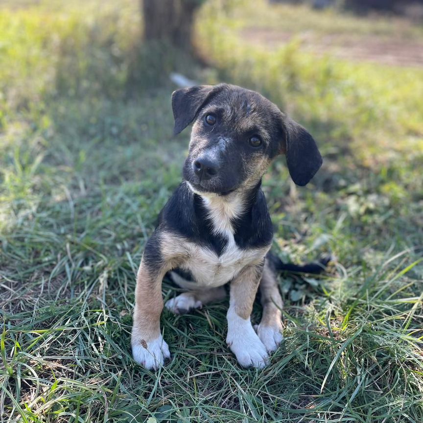 Мы ждем чуда