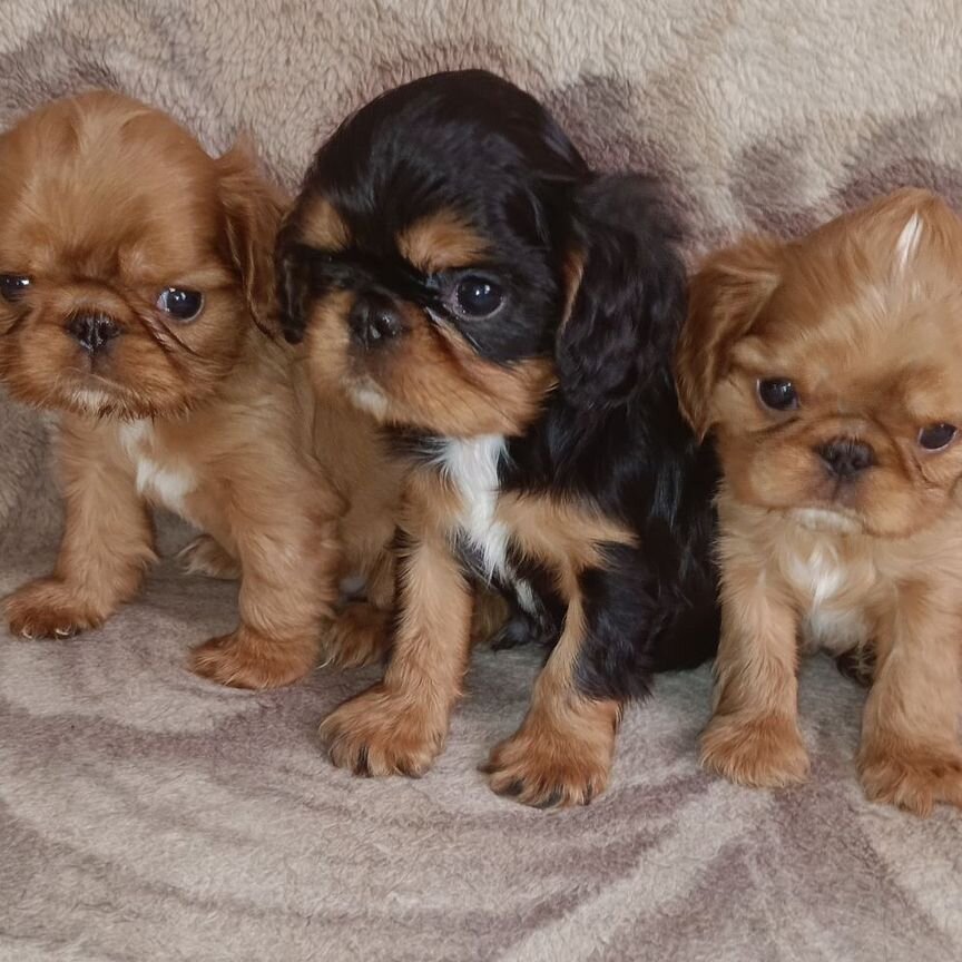 Готовы к бронированию