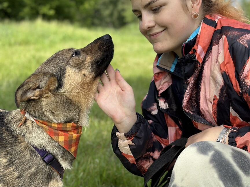 Очаровательный Гром ждет семью