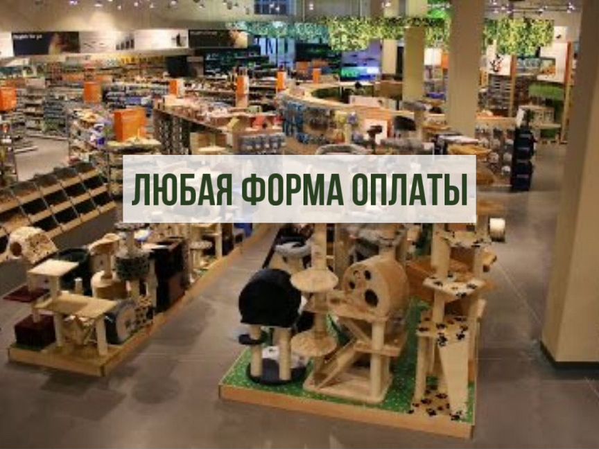 Когтеточки опт