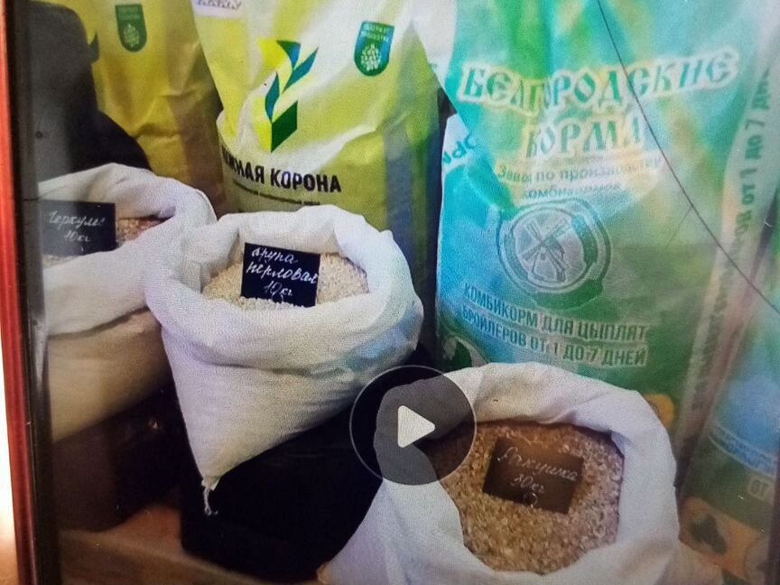 Товары для животных