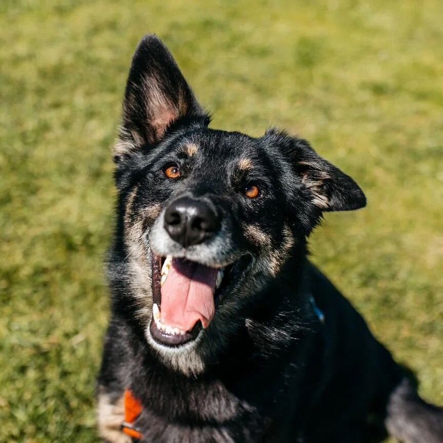 Малыш из приюта в добрые руки