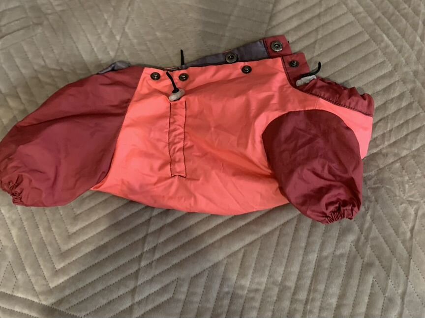 Комбинезон утепленный для таксы