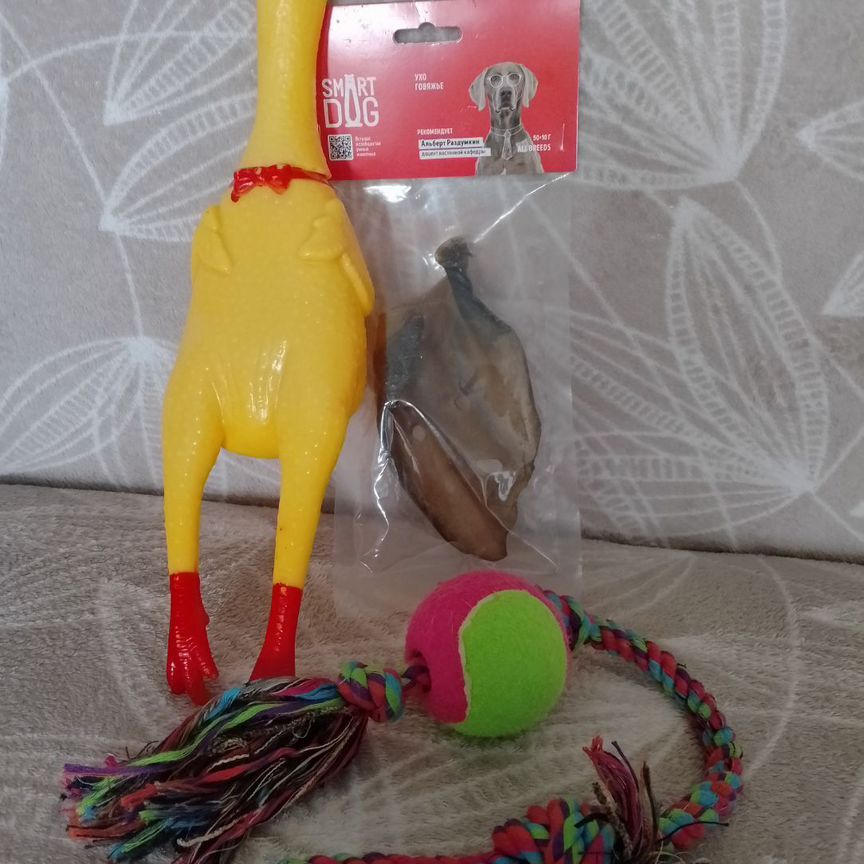 Игрушки и вкусняшка для собаки