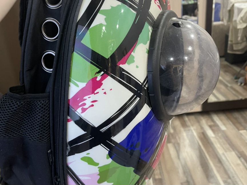 Переноска для кошек бу