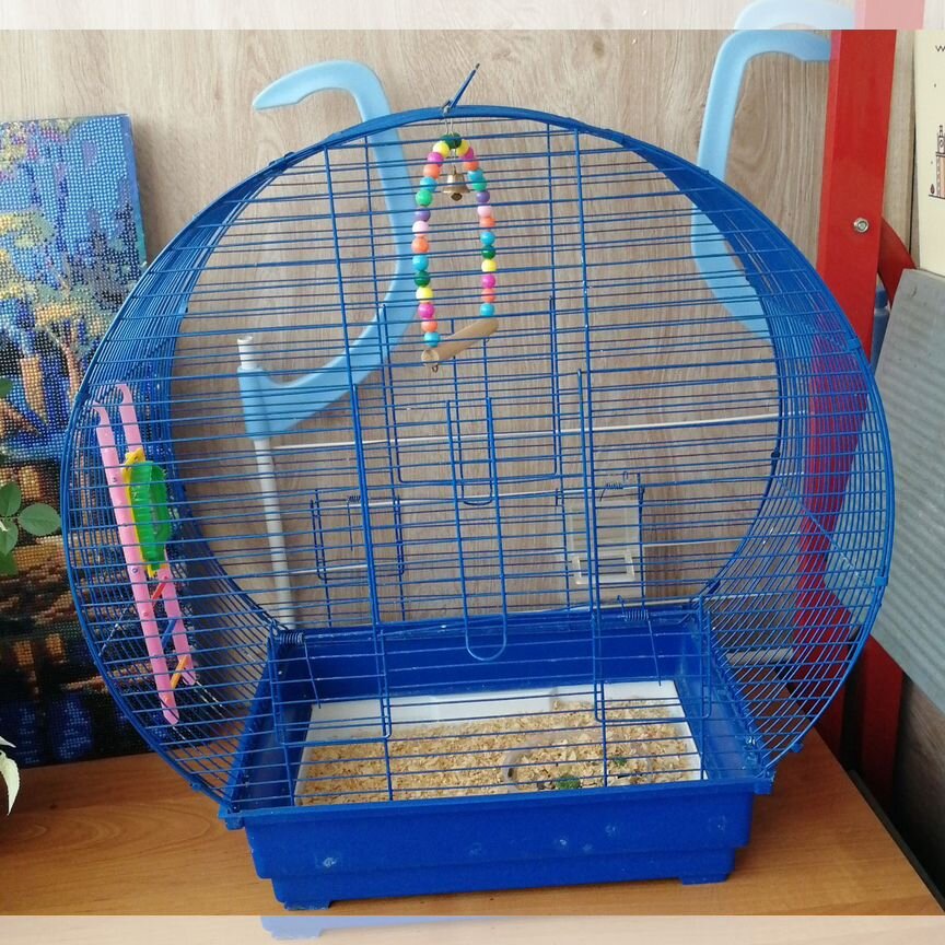 Клетка для попугая