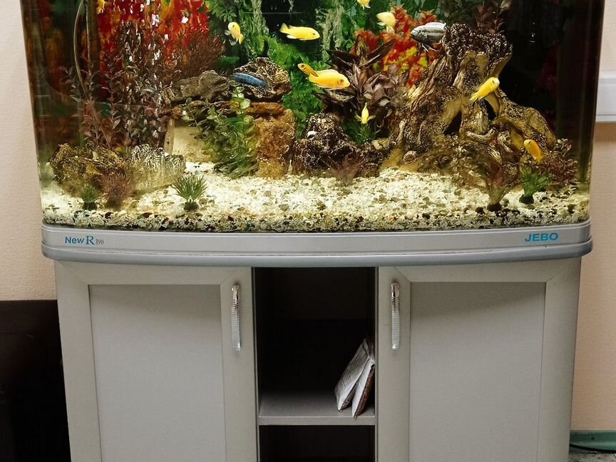 Аквариум с тумбой, оборудование, декор, рыбки