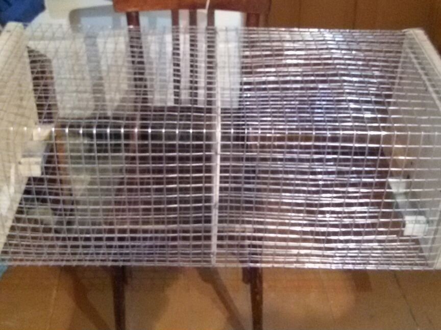 Клетки для разведения кроликов