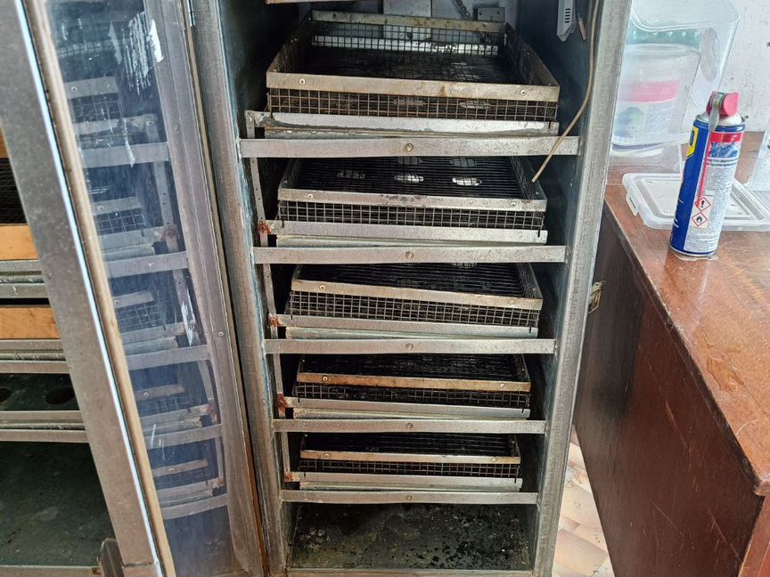 Инкубатор аи-500