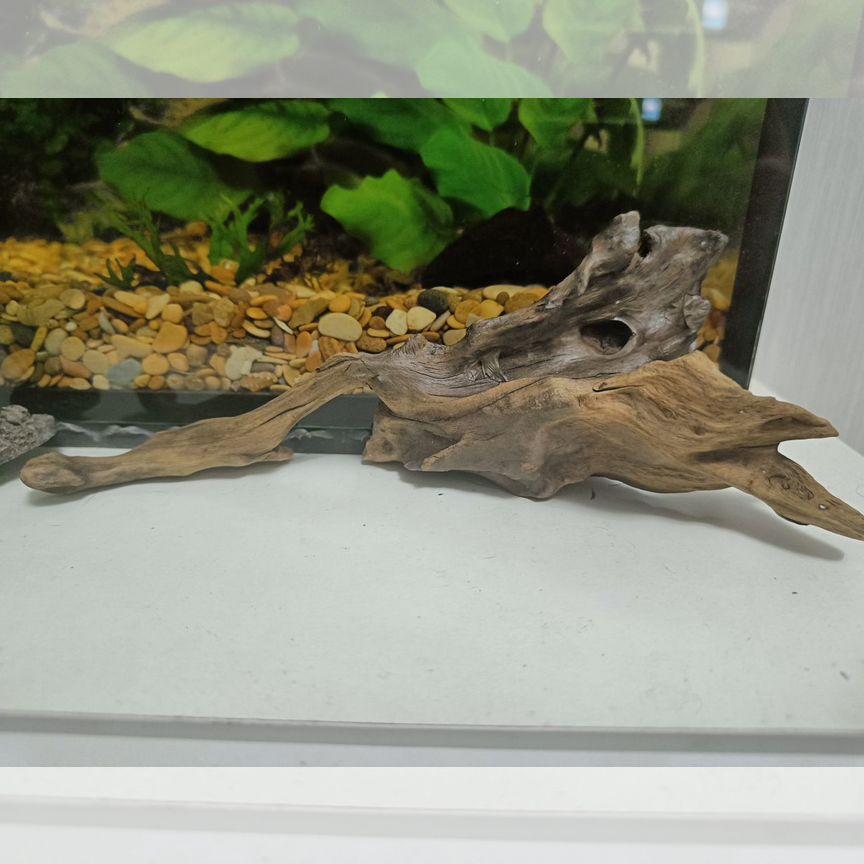 Аквариум,грунт.аксессуары.водоросли, коряга