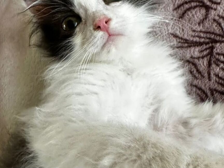 Малыш отчаянно ищет маму