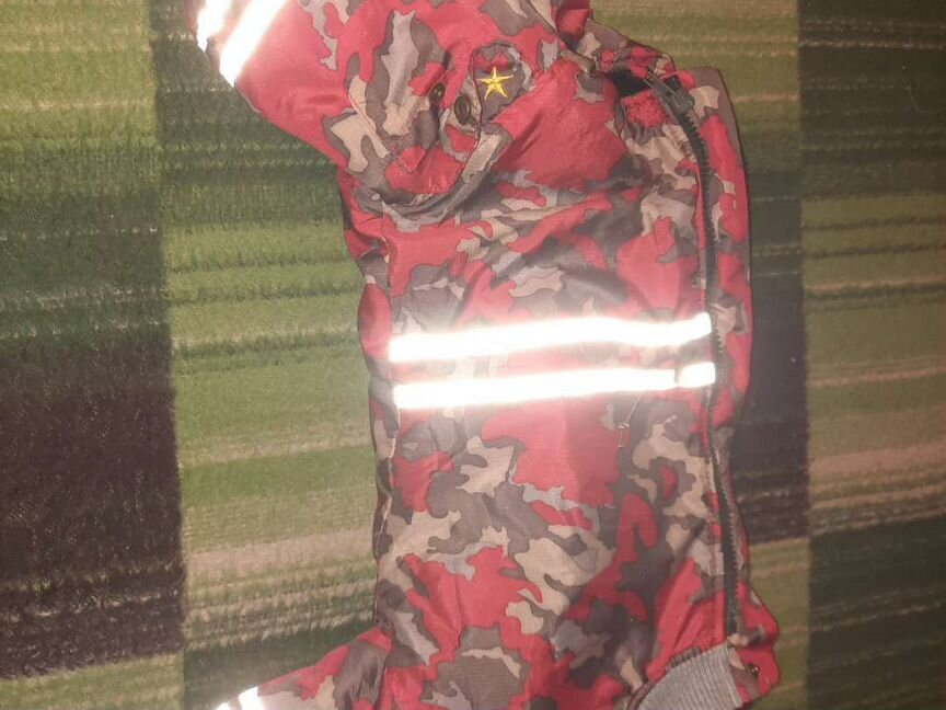 Одежда для собак