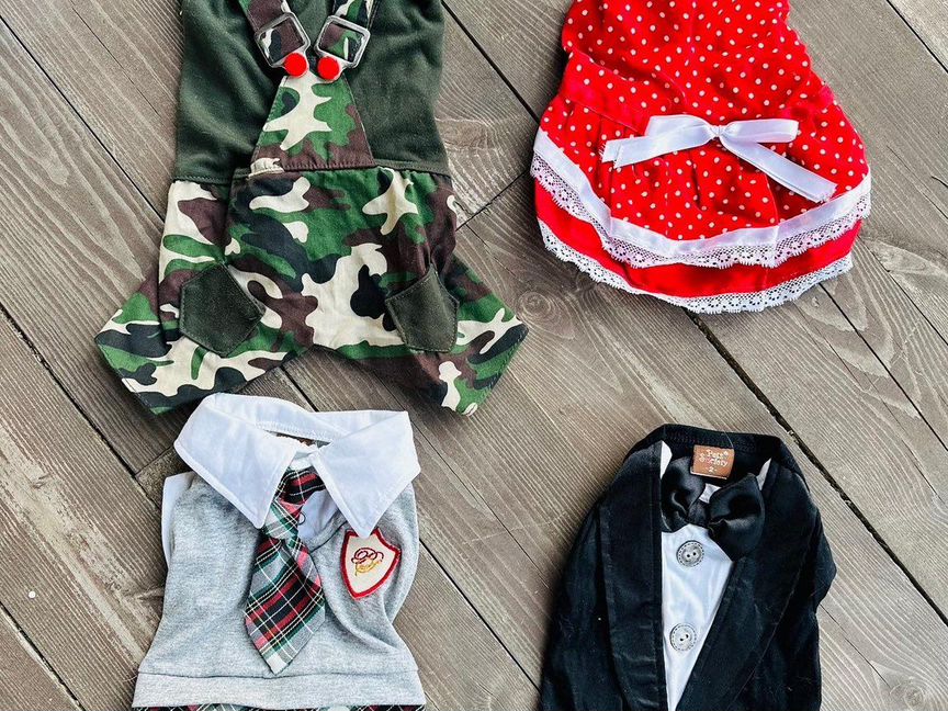 Одежда для собак мелких пород