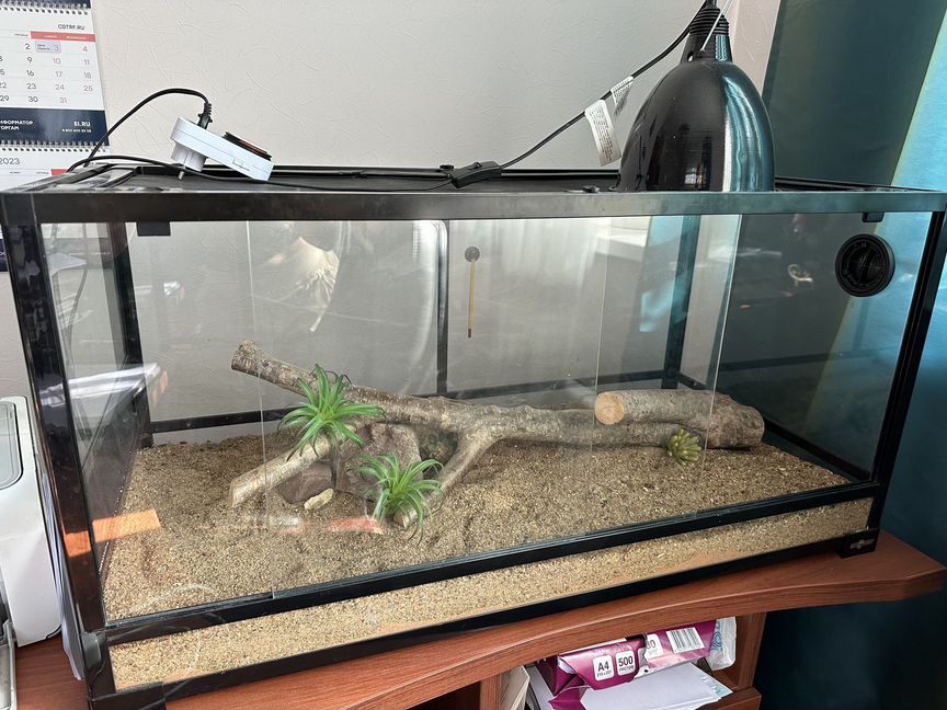 Террариум для рептилий бу в комплекте