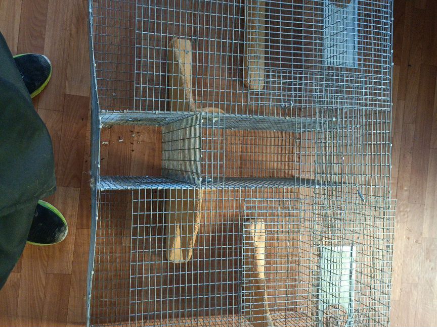 Клетка для грызунов