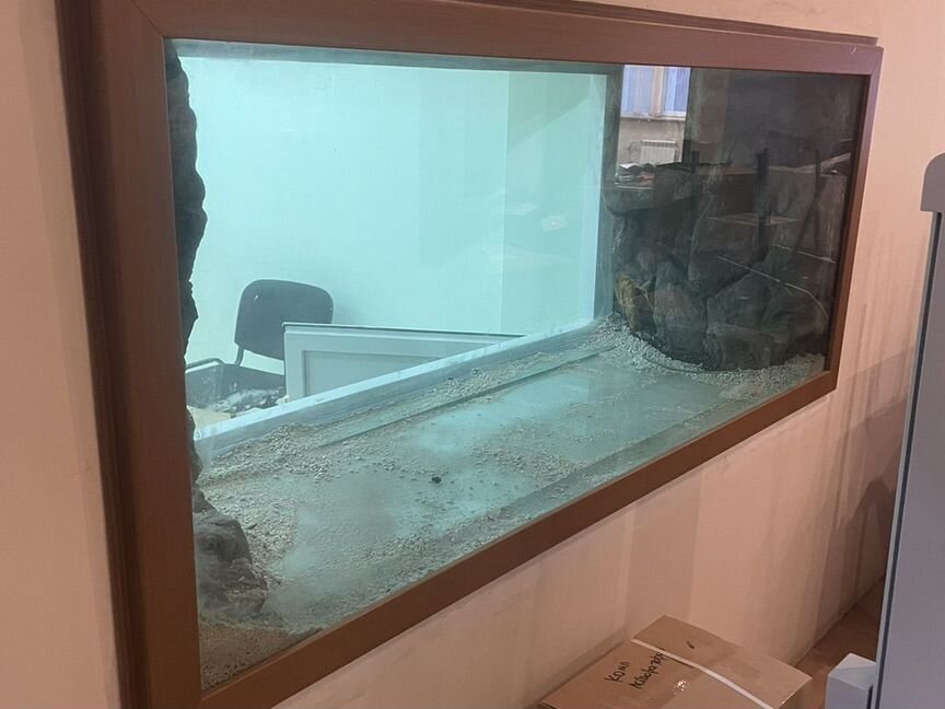 Аквариум / террариум