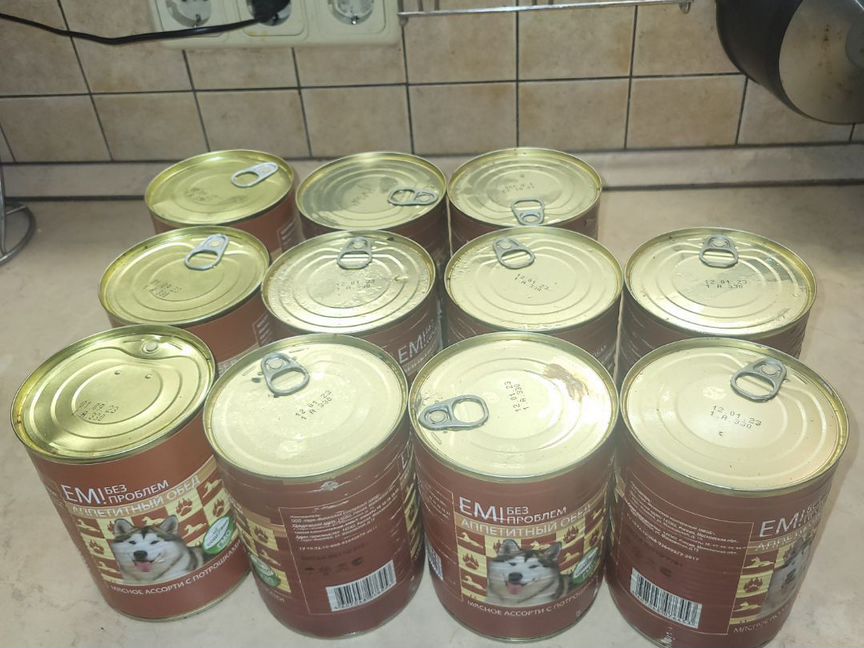 Корм для собак