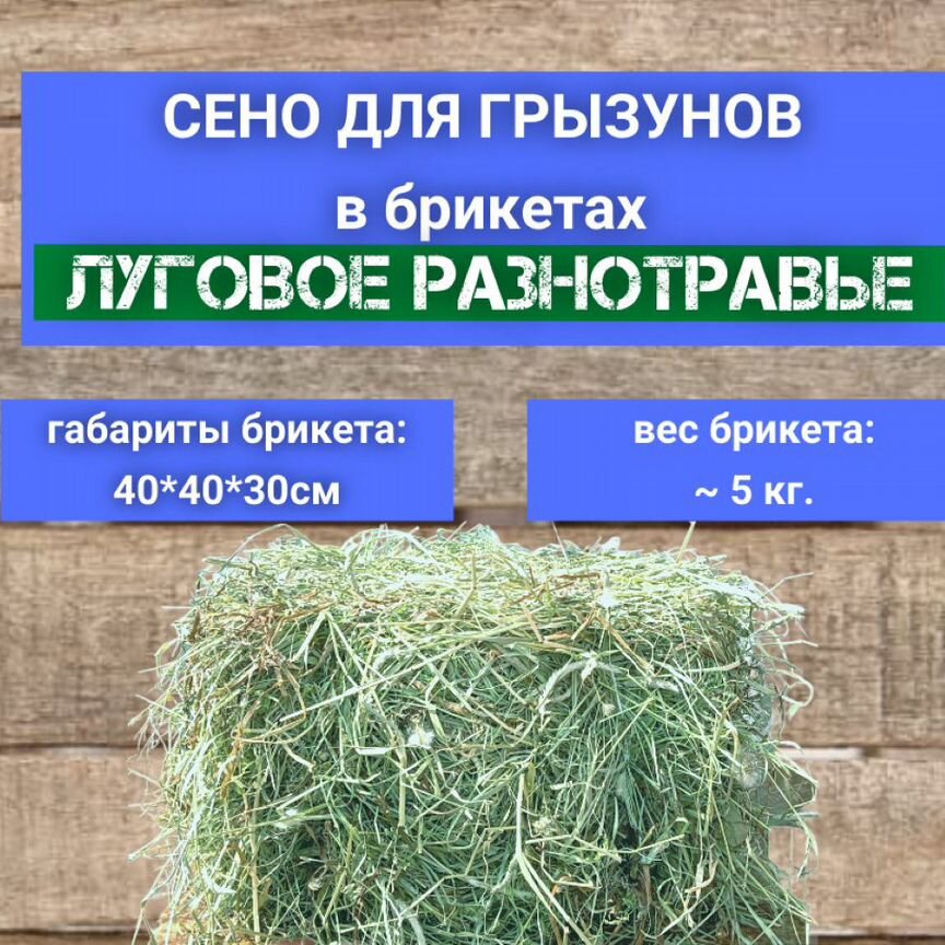 Сено для грызунов Авито-доставка