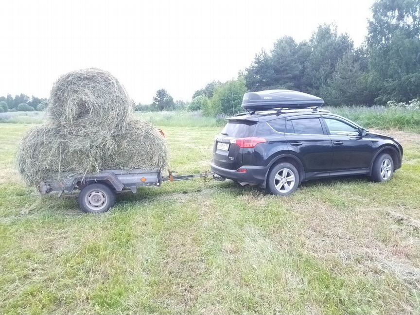 Сено в рулонах 2023 г