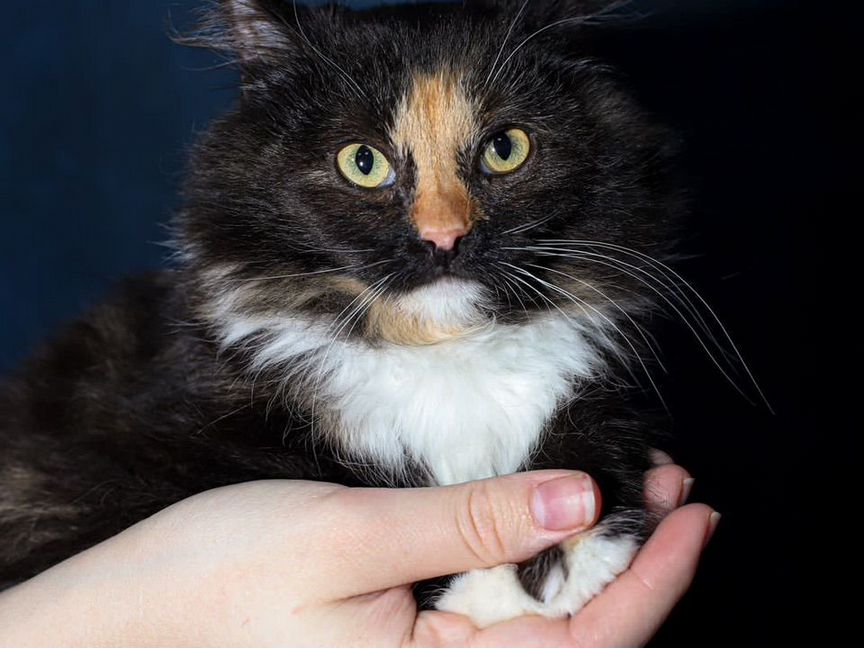 Боня 4 месяца