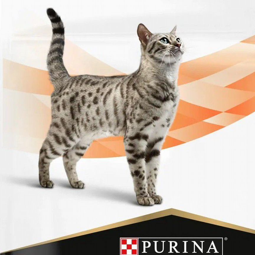 Корм для кошек Пурина обесети 2*350 гр