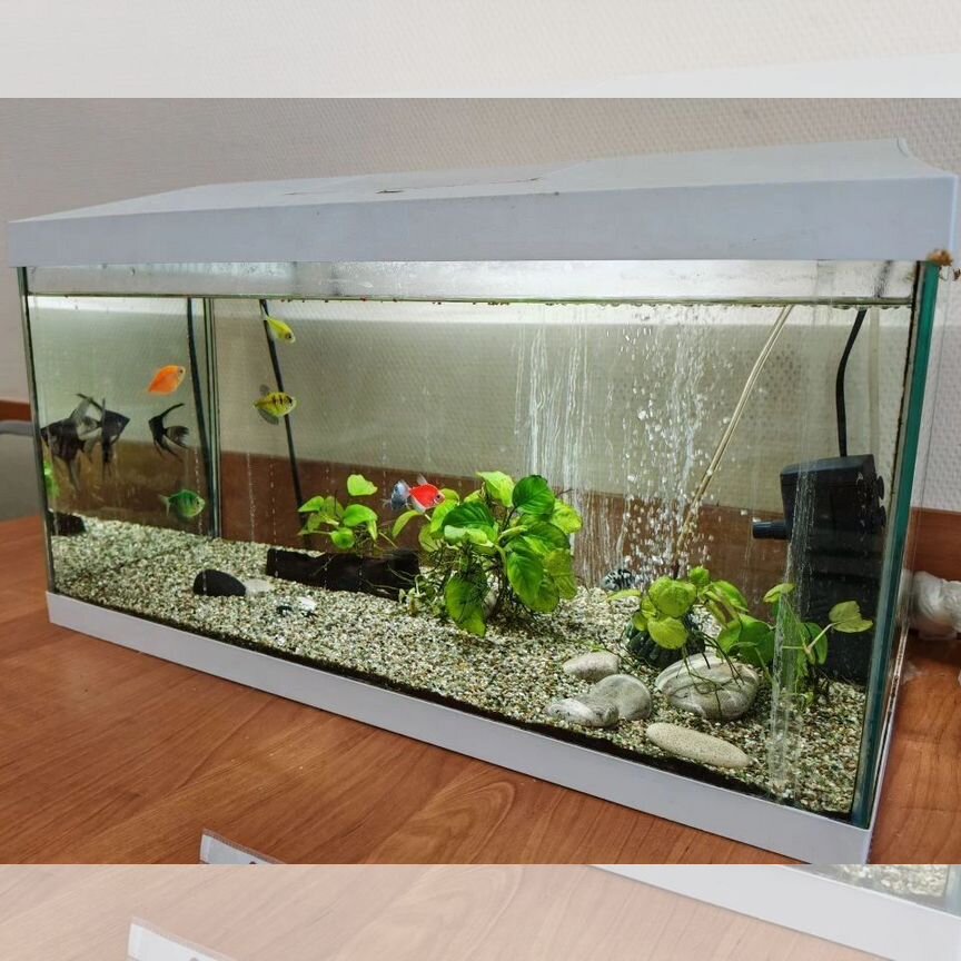 Аквариум с рыбками