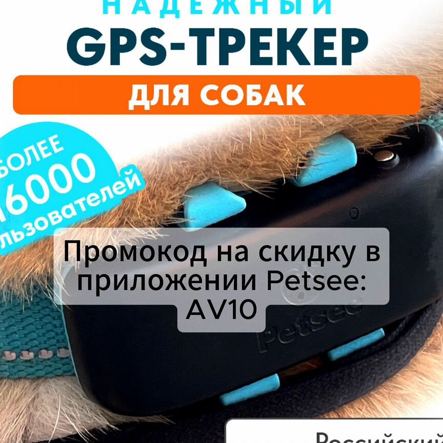 Gps трекер для собак
