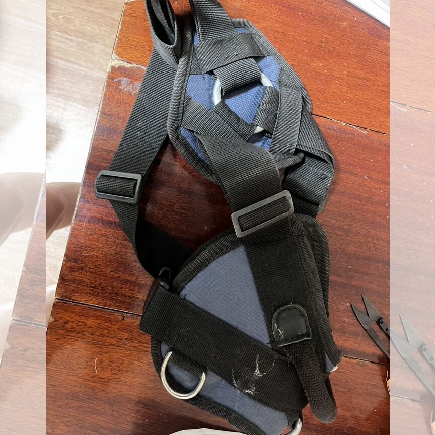 Шлейка для собакикрупной породы