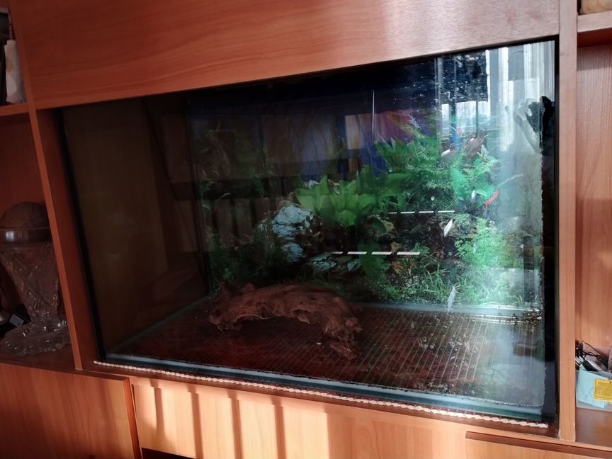Аквариум