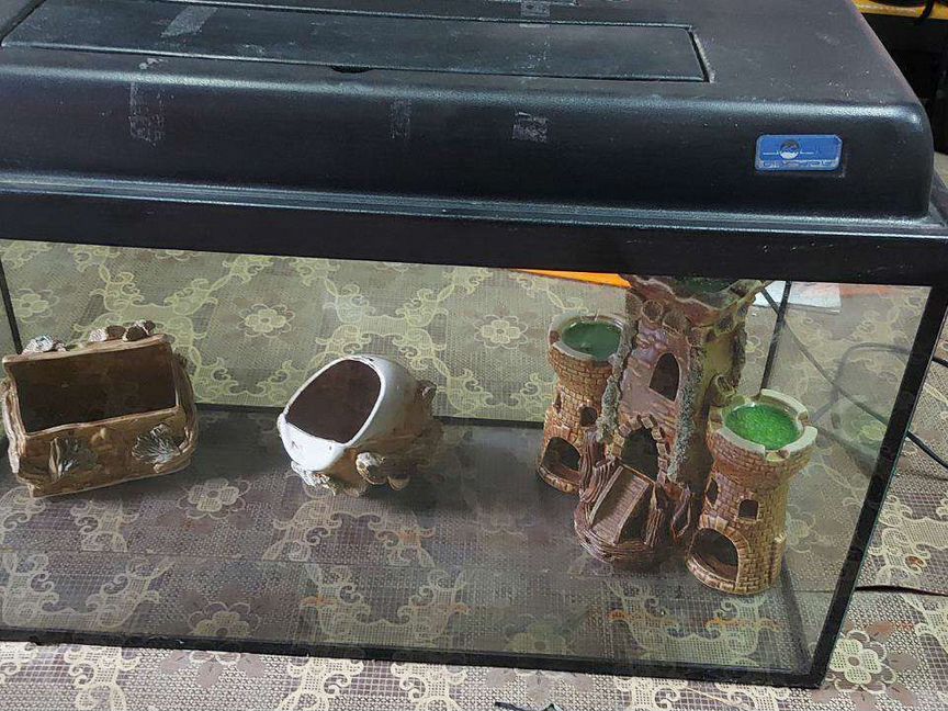 Аквариум