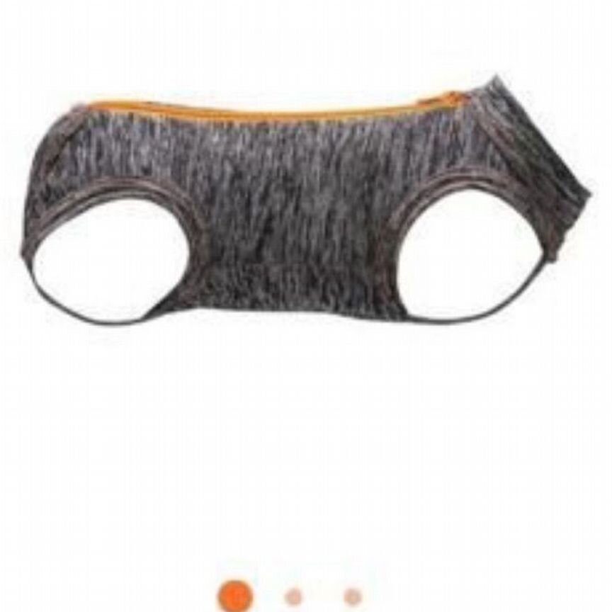 Послеоперационная попона на чихуа / йорка