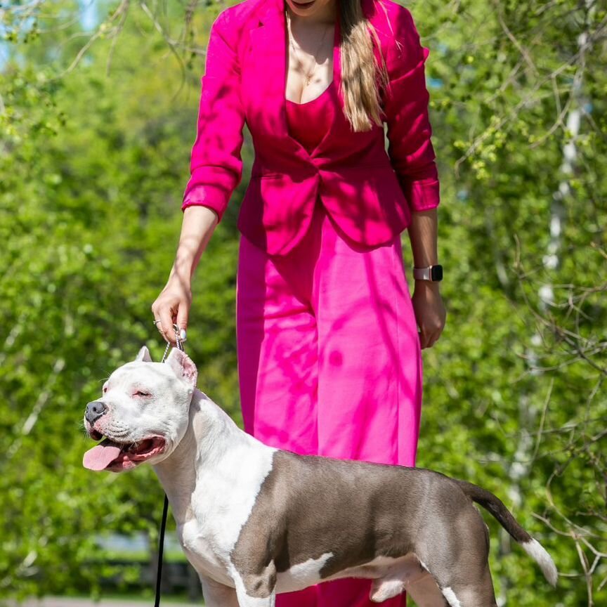 Вязка кобель аст