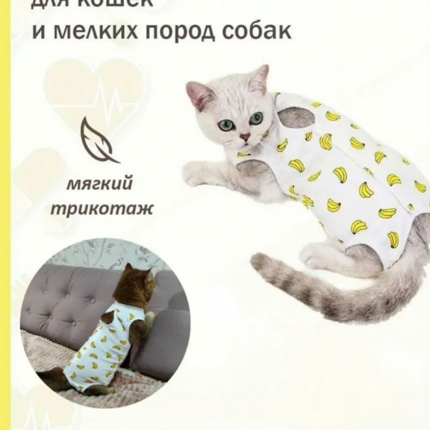 Попона для кошек