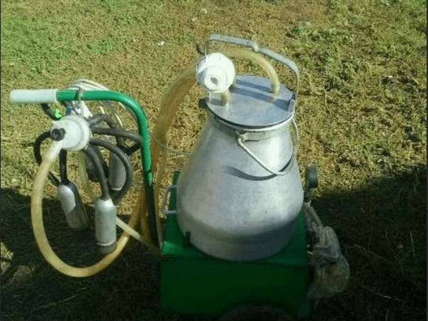 Доильный аппарат