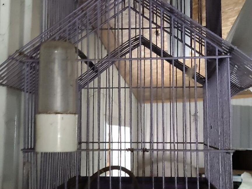 Клетка для попугая