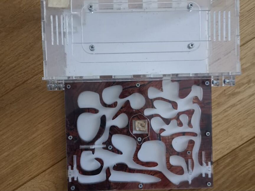 Муравьиная ферма бу