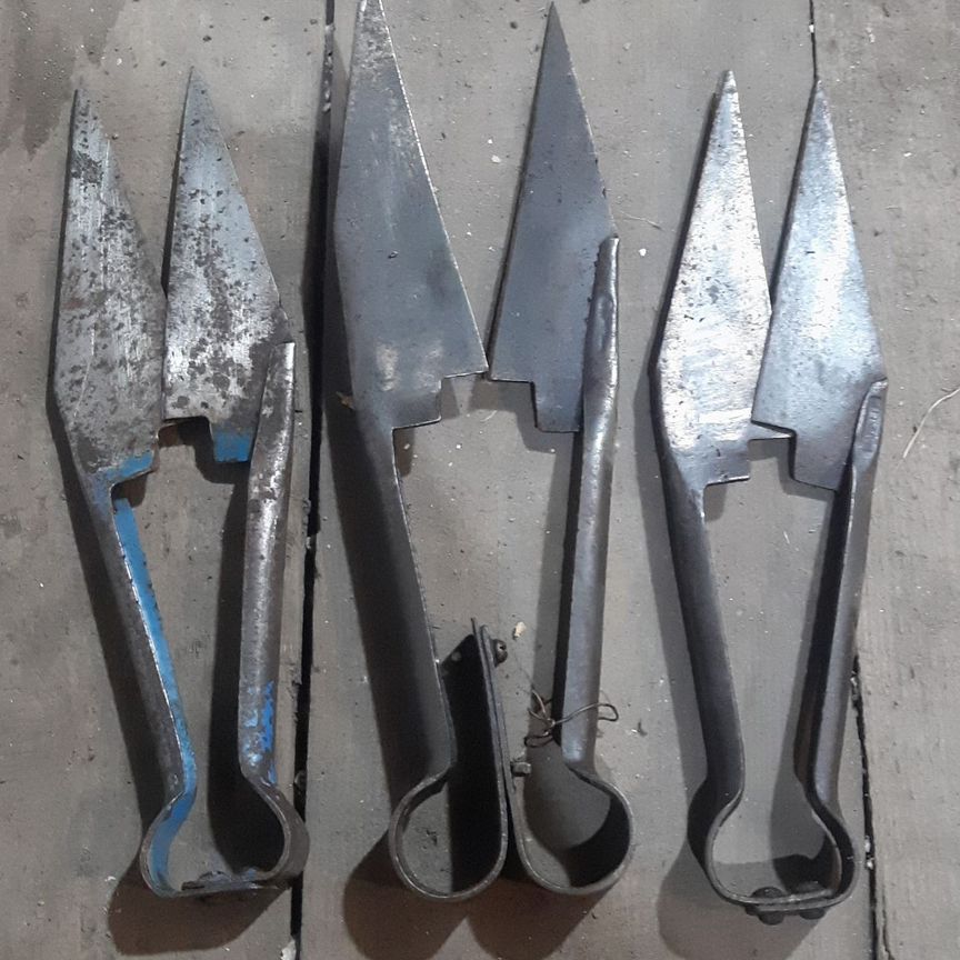 Овечьи ножницы