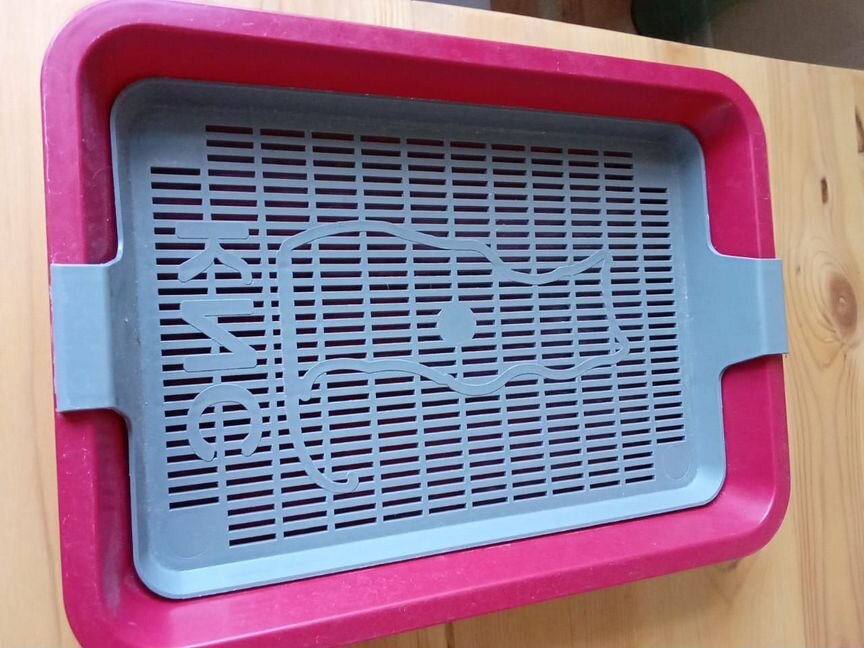 Горшок для котенка