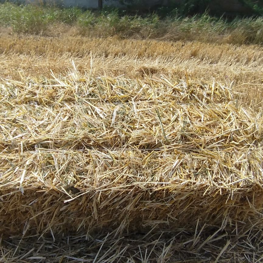 Солома в тюках