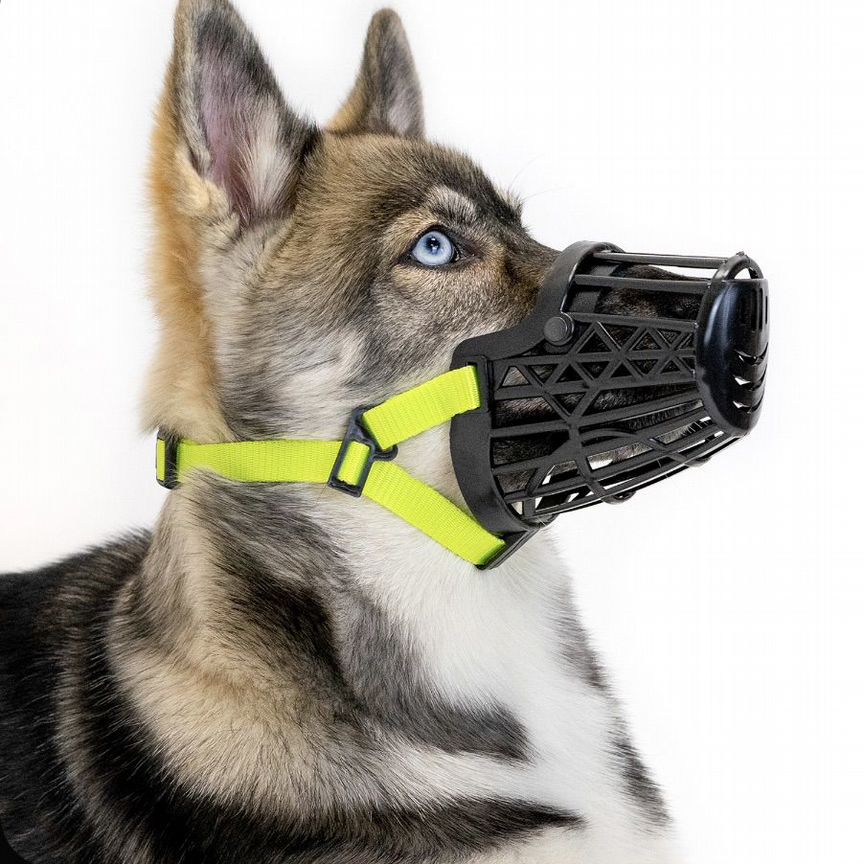 Намордник для большой собаки