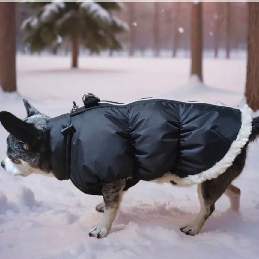 Зимний жилет для собак мелких пород мальчиков xs/s