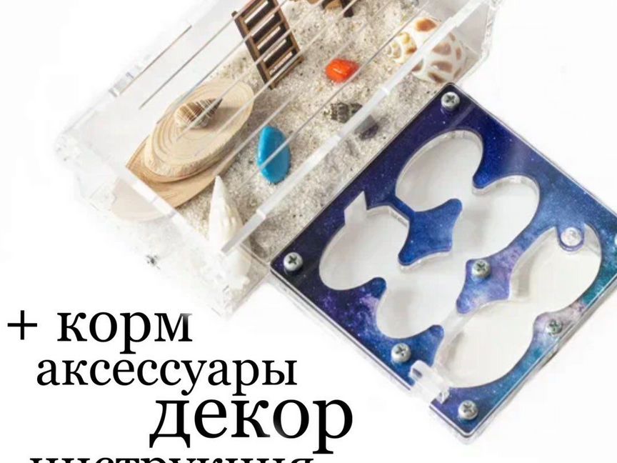 Муравьиная ферма Формикарий Старт Космос