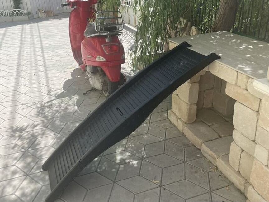Автомобильный трап для собак