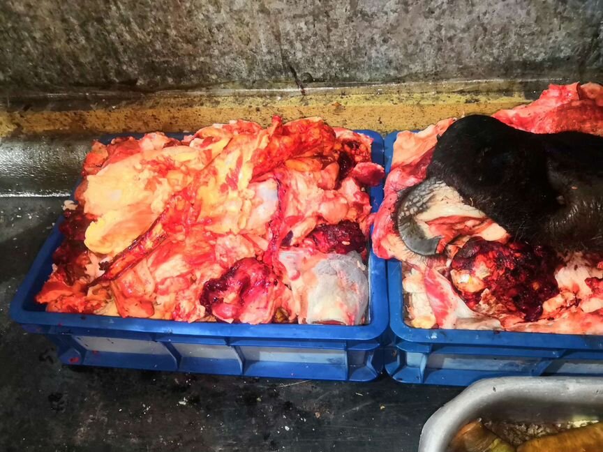 Корм для животных и деликатесы