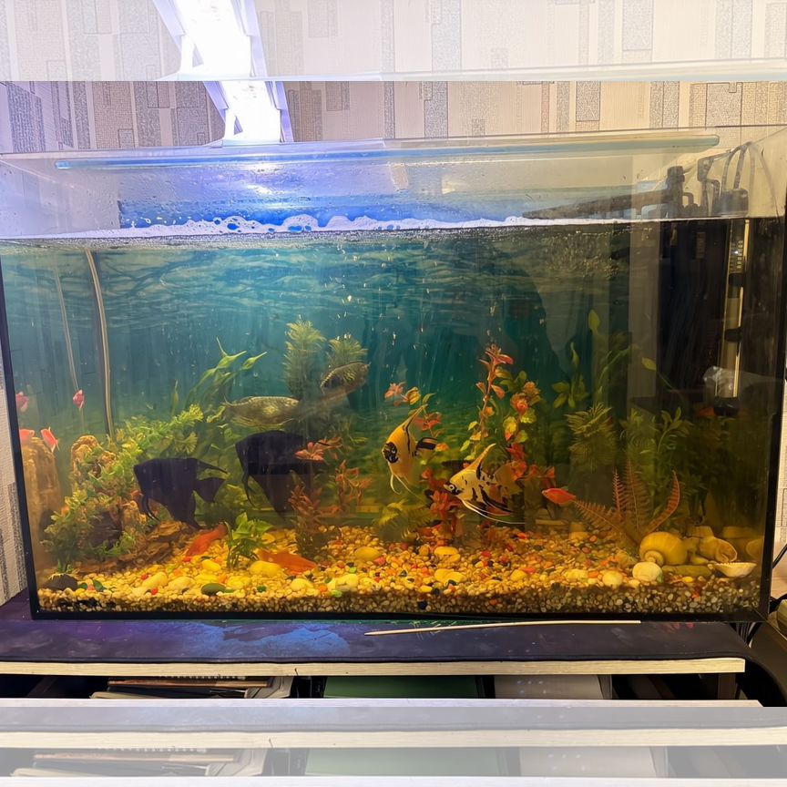 Аквариум 120литров рыбки оборудование