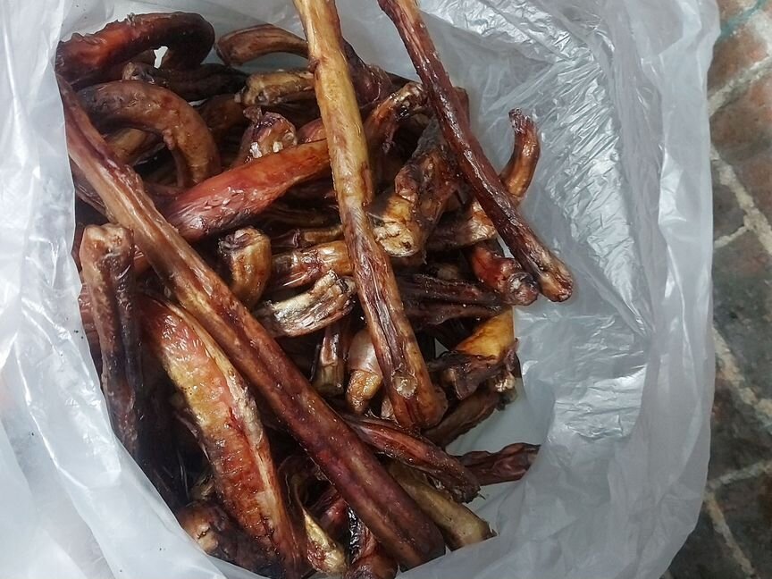 Сушеные лакомства для животных