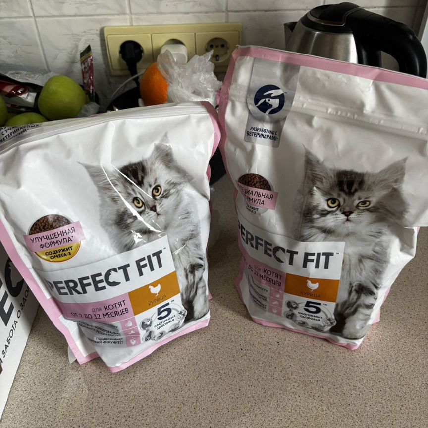 Perfect fit для котят